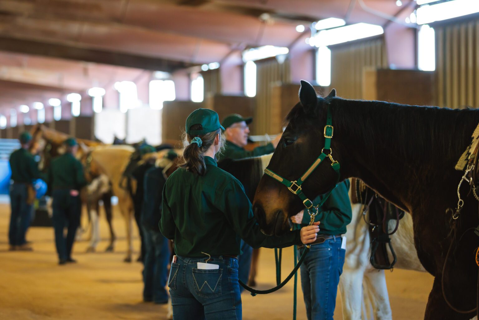Volunteers Capture Gold Stirrup Horse Show in Stunning Photos - Marbridge