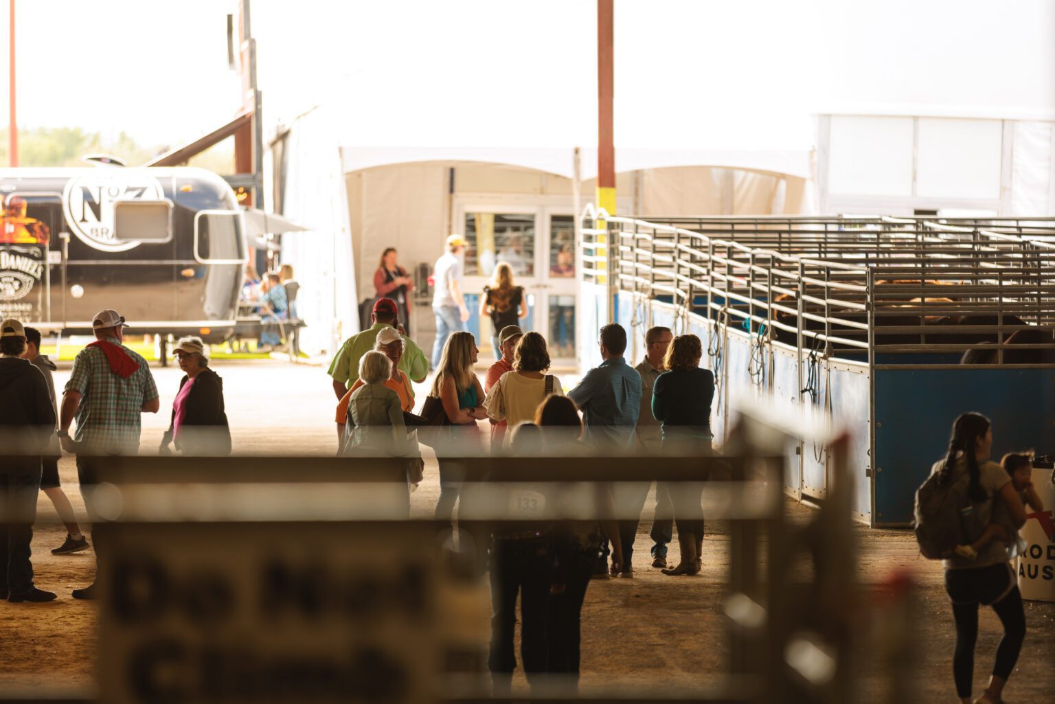 Volunteers Capture Gold Stirrup Horse Show in Stunning Photos - Marbridge