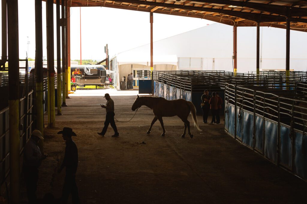 Volunteers Capture Gold Stirrup Horse Show in Stunning Photos - Marbridge